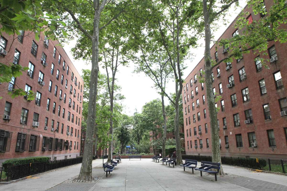 Residentes de Bronx River Addition decidirán sobre su futuro - New York ...